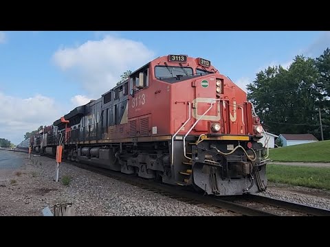 CN 3113 leading southbound manifest train in Ladysmith wi 8/29/23 - YouTube