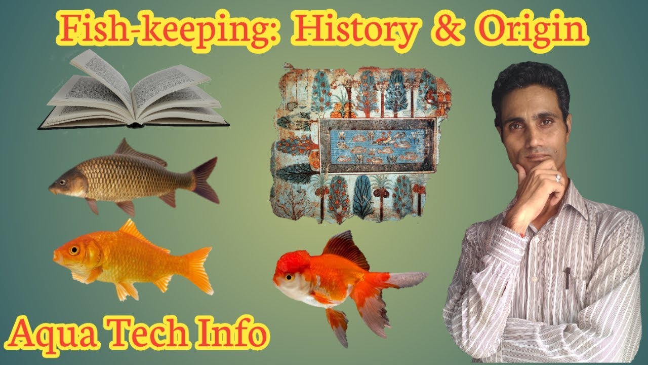 #46. Fish-keeping: History and Origin - YouTube
