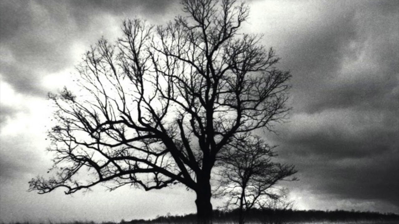 The Haunted Oak by Paul Lawrence Dunbar - YouTube