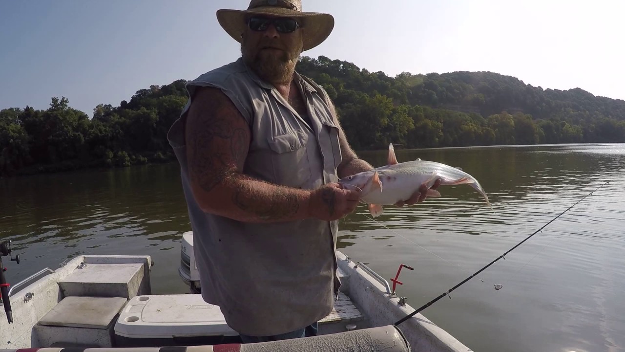 Fishing with Hilarius Darius: Day 2 - YouTube