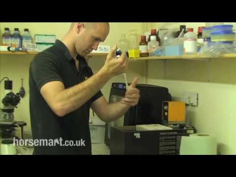 How semen is processed from a stallion.mp4 - YouTube