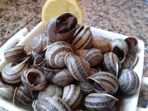 طريقة تحضير الحلزون المغربي اللذيذ les escargots a la marocaine - YouTube