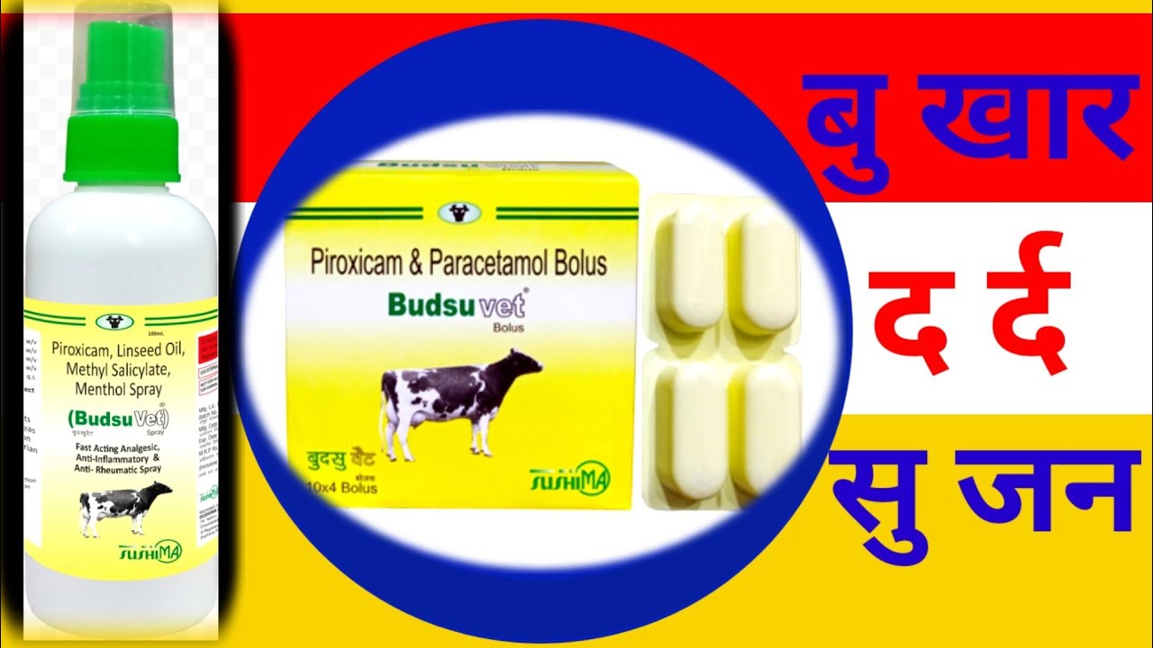 BUDSU vet | बुदसू वेट | पशुओं में बुखार, दर्द और सुजन के लिए सबसे ...