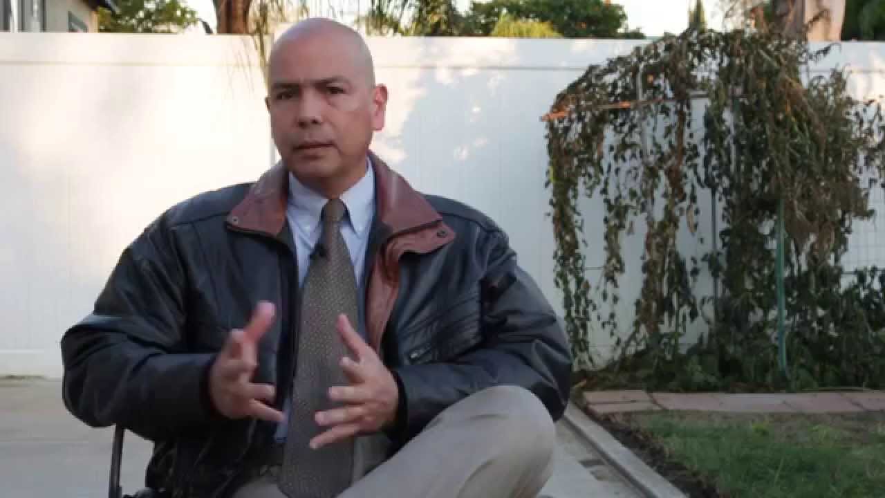What's an American Bully? Marco Suarez explains - YouTube