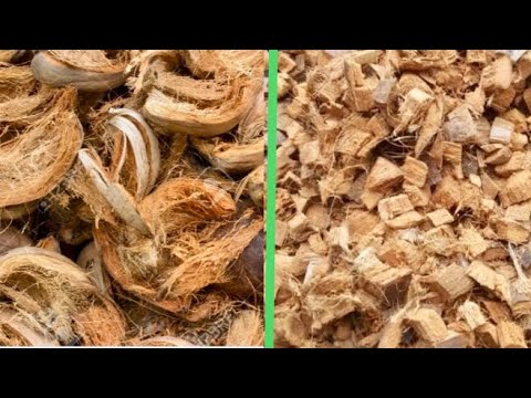 Coco Chips:How And What To Do Before Using - YouTube