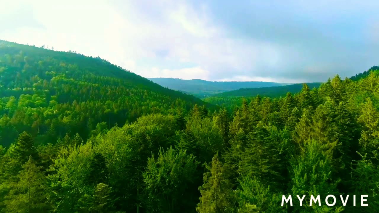 Beauty of Nature with 99 names of Allah - YouTube