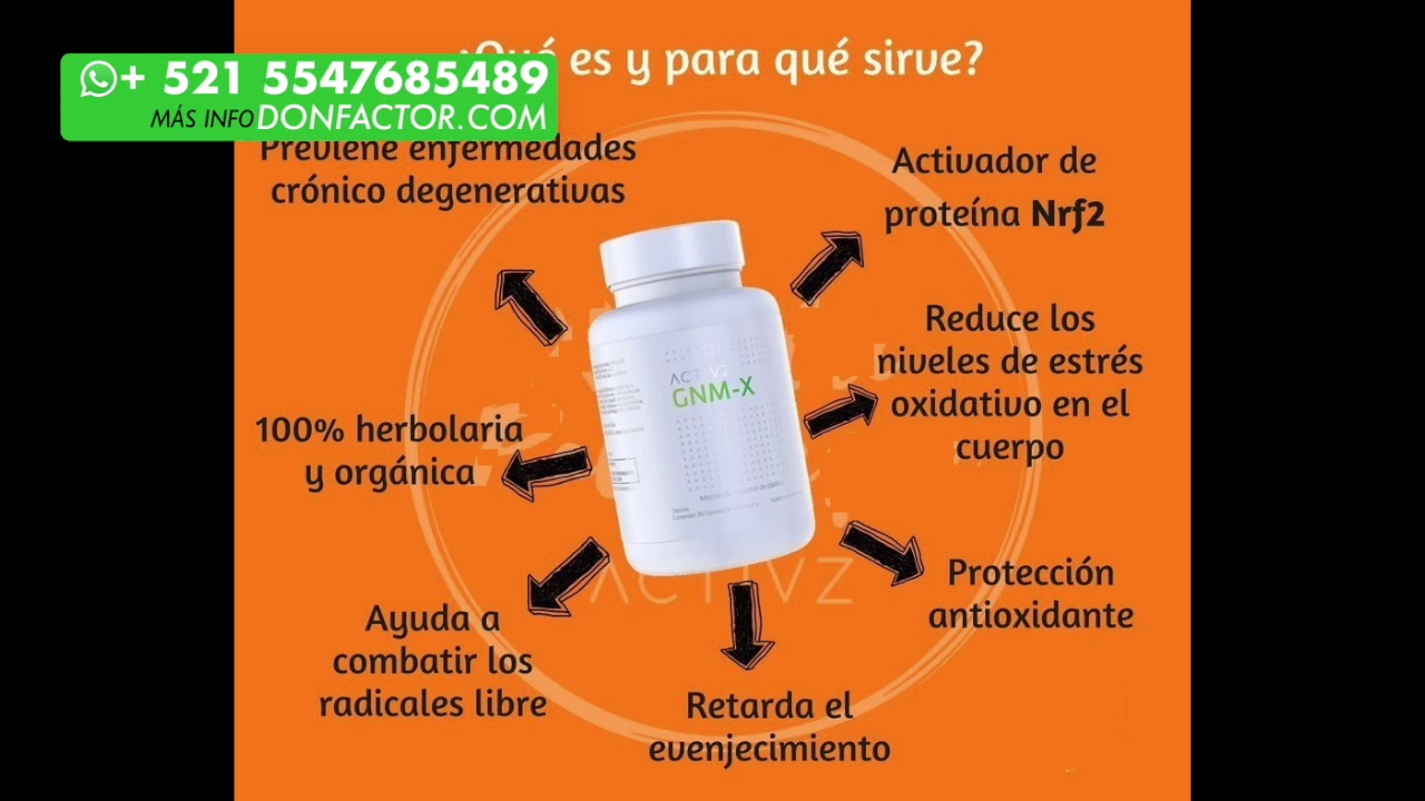 ACTIVZ GNM-X lo que debes saber de estas capsulas, activador del NRF2 ...