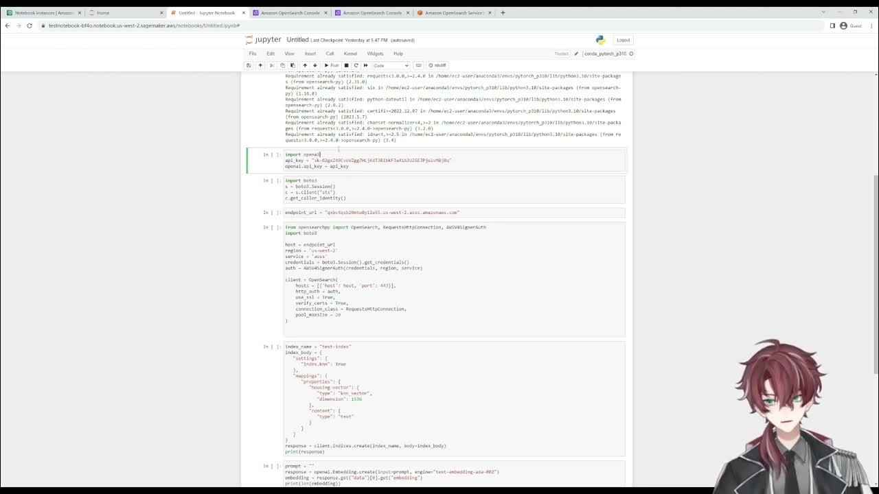 AWS Vector DB Serverless?! - YouTube