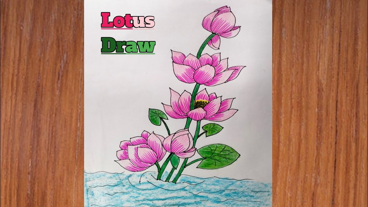 How To Draw A Lotus🪷With Colored Pencils || Lotus Drawing With Colored ...