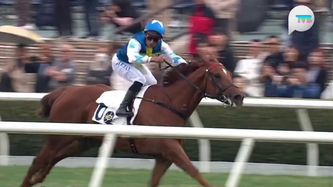 2025 華商會挑戰盃 Chinese Club Challenge Cup G3 - 手機錶霸 (Patch of Theta) [H485 ...