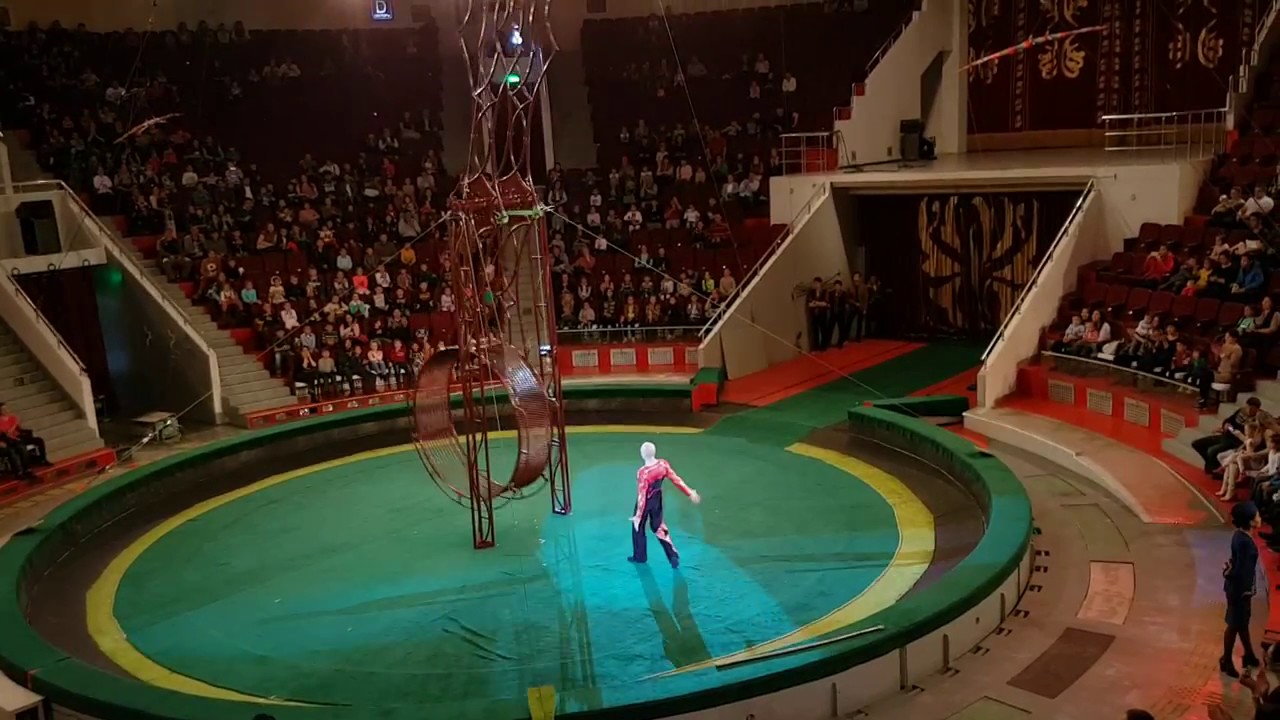 Solo wheel of Death Circus Act Extreme Show Dangerous Skills - YouTube