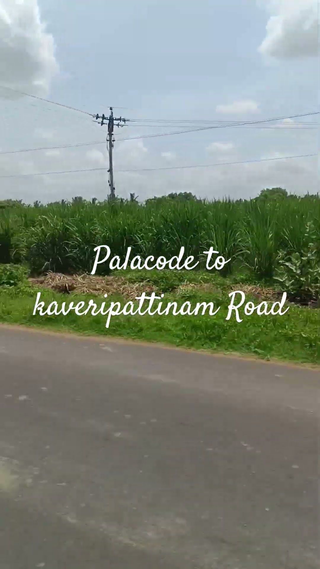 #tamil #minivlog #krishnagiri #palacode - YouTube