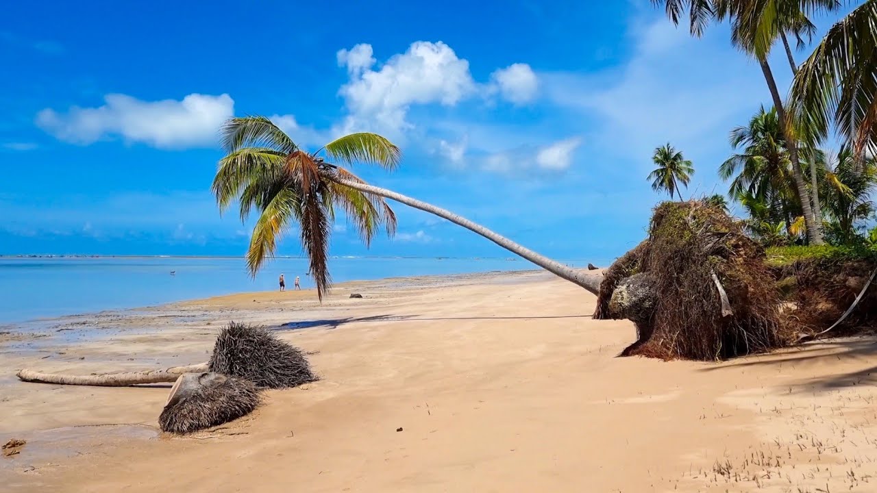 Praia Do Patacho Porto De Pedras AL Conheça De Norte A Sul - YouTube