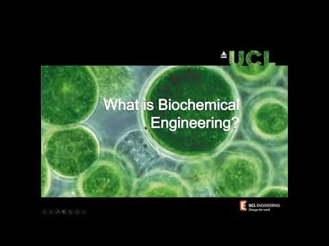 Why Did I Choose to Study Biochemical Engineering at UCL? - YouTube