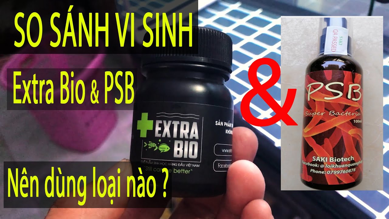 Trải nghiệm vi sinh Extra Bio - So sánh Extra Bio với vi sinh PSB - Nên ...