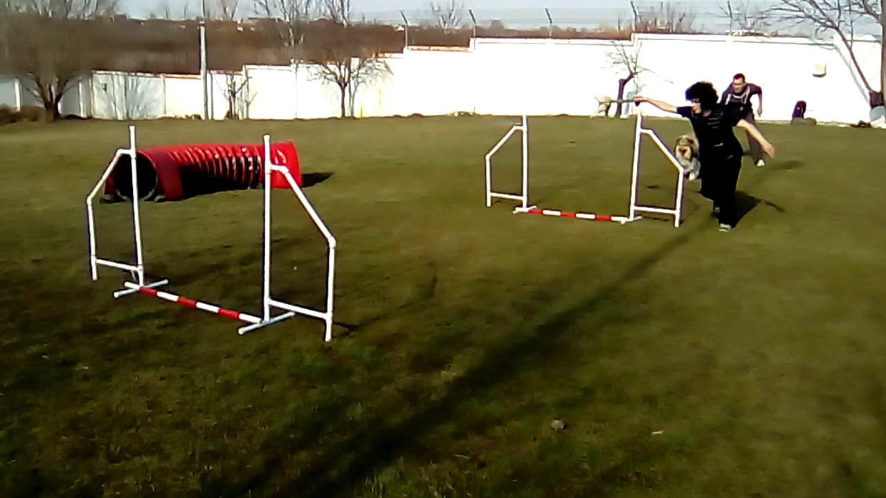 obstacol 3 - YouTube