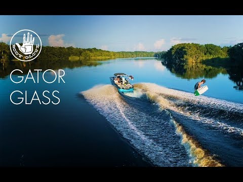 Gator Glass