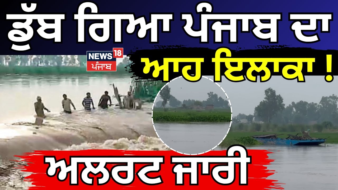 Punjab Heavy Rain | ਡੁੱਬ ਗਿਆ ਪੰਜਾਬ ਦਾ ਆਹ ਇਲਾਕਾ ! ਅਲਰਟ ਜਾਰੀ | Weather ...