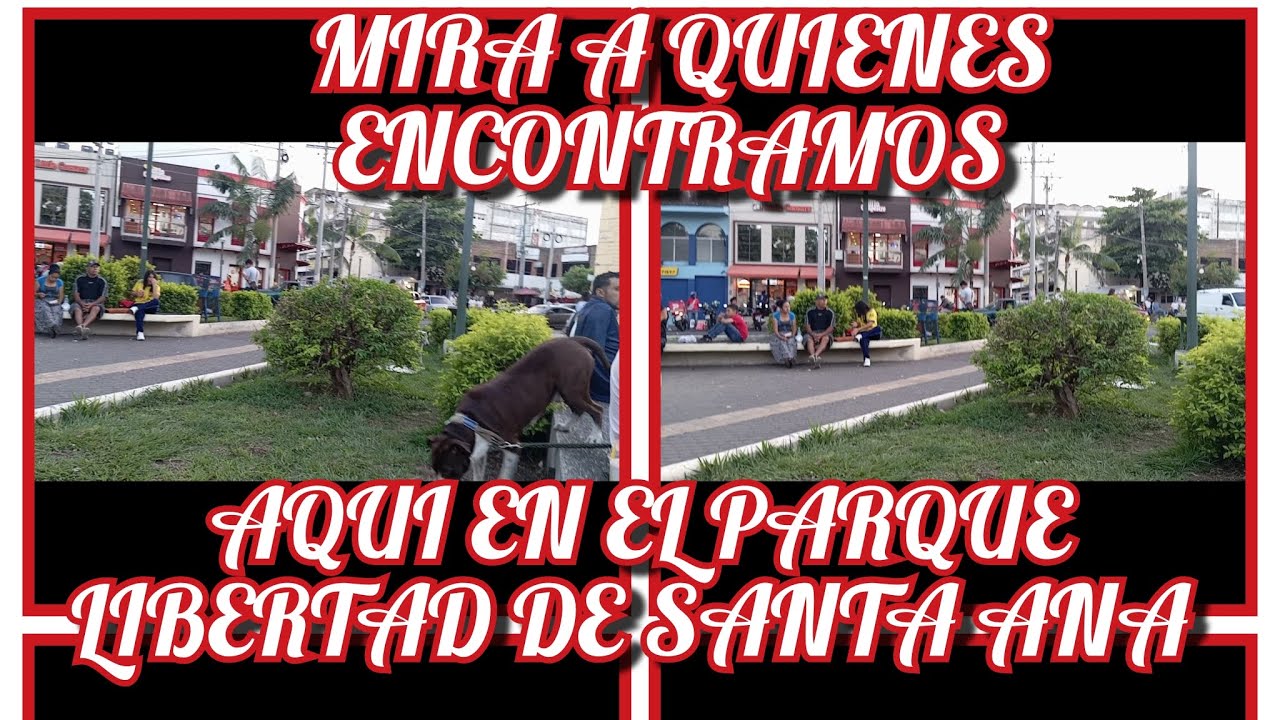 WOOW MIREN QUIEN LOS HAYAMOS VISTO POR AQUI 😱🇸🇻🗽📹 - YouTube