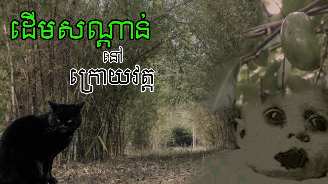 ដើមសណ្ដាន់នៅក្រោយវត្ត- បុស្បា -Bossba - YouTube