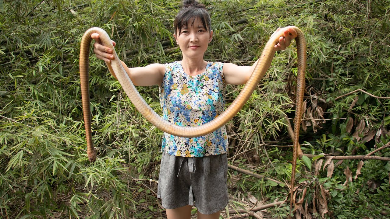 Very Long snake with lime pickle #cooking #snake - YouTube