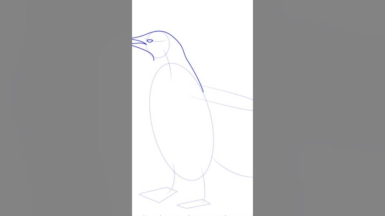 How to draw Gentoo Penguin - YouTube