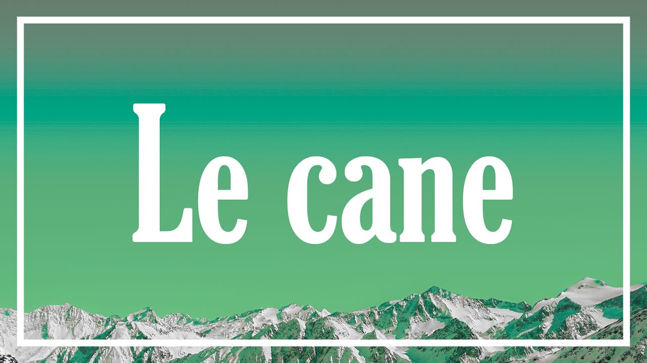 MUTİ - LE CANE feat. UZİ x CRİTİCAL x HEİJAN ( Sözleri/Lyrics ) │ B ...