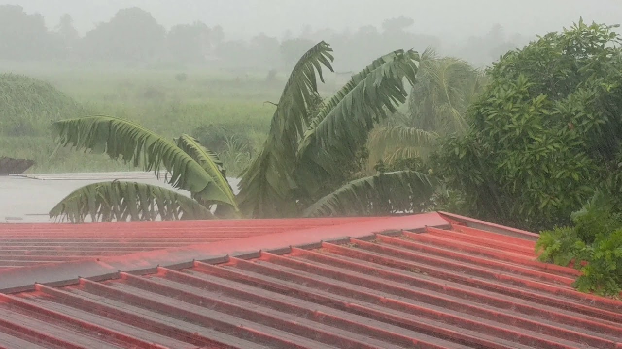 One of the heaviest rain downpours ever !! (Trinidad) - YouTube