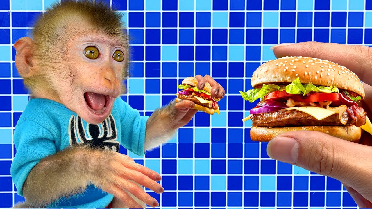 Baby Monkeys KuKu buy hamburgers and play with puppies in the park ...