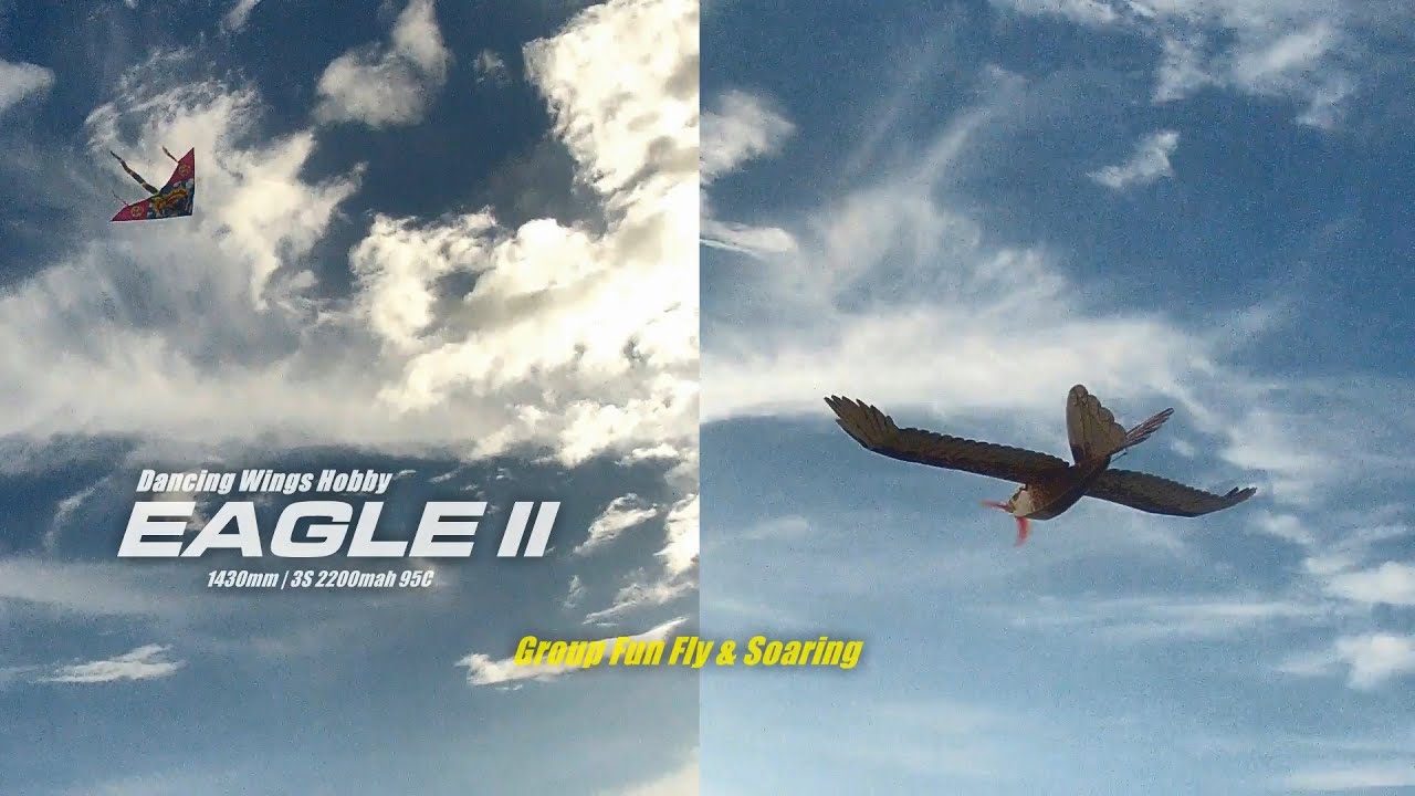 Group fun fly & soaring - Dancing Wings Hobby EAGLE II 1430mm - YouTube
