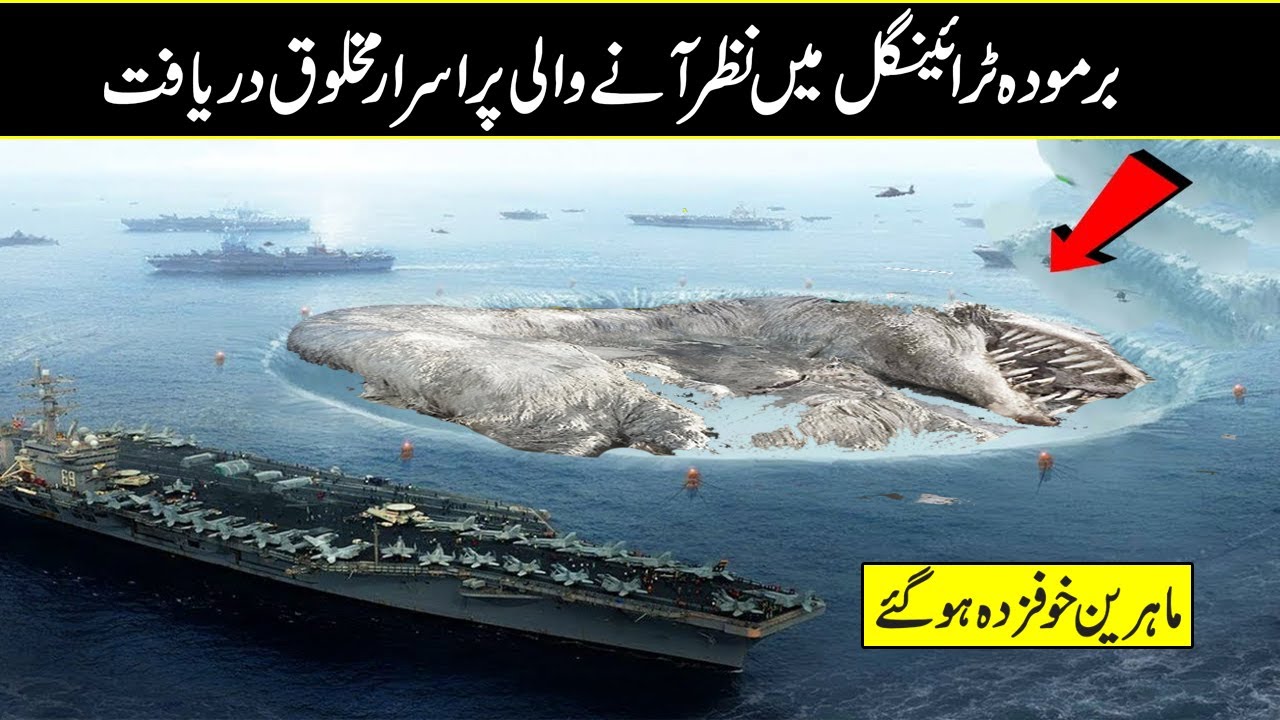 Mysterious Creature Found In Bermuda Triangle In Urdu Hindi - YouTube
