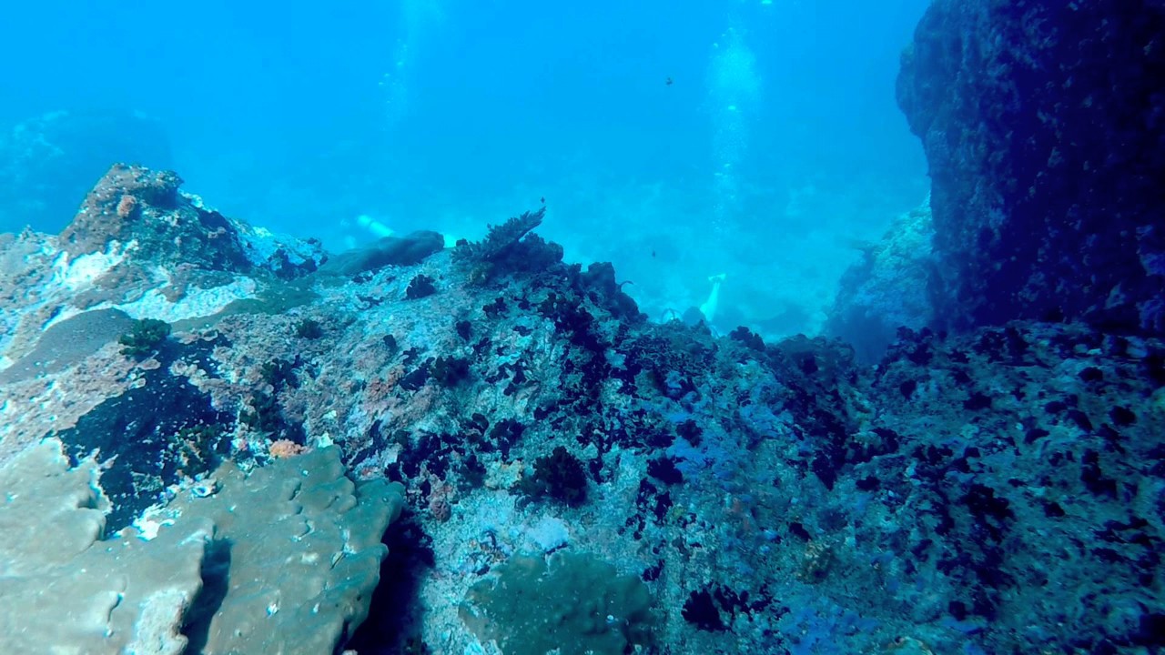 Amazing Oceans - YouTube