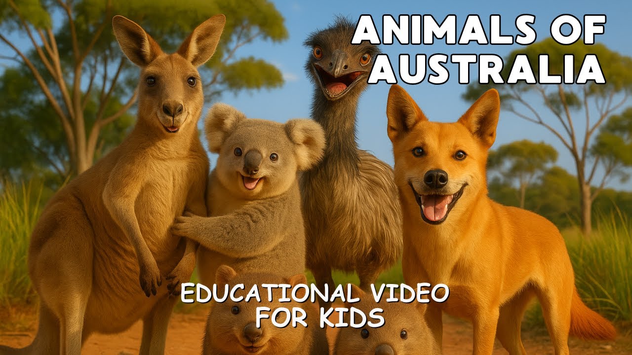 Discover Australia's Funniest Animal Noises! 🦘🐨 | Educational Video for ...