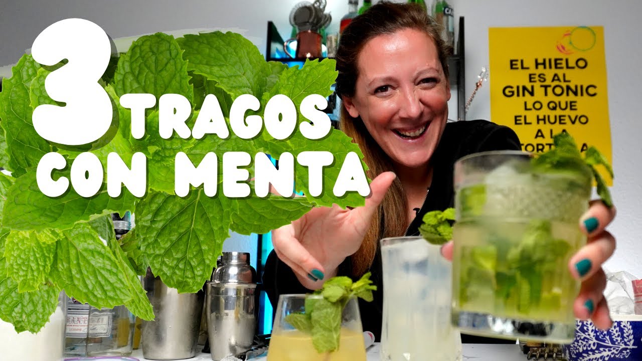 Cómo hacer COCTELES DE MENTA con alcohol | Coctel de menta ingredientes ...