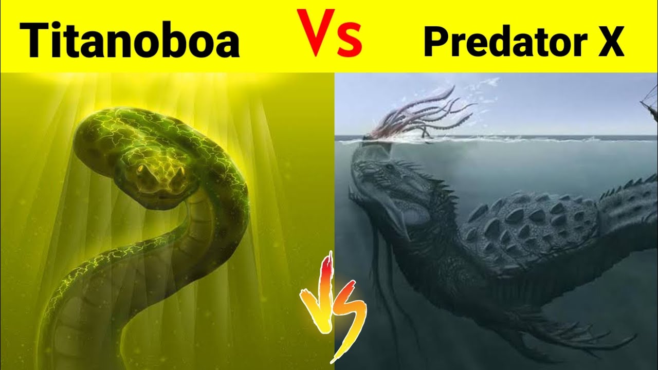 Predator X Vs Titanoboa