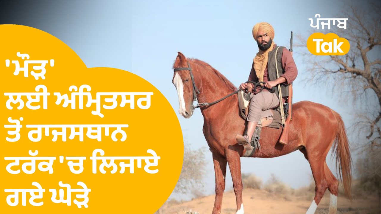 Maurh Film - Ammy Virk-Dev Kharoud ਦੀ ਫਿਲਮ ਲਈ ਵਰਤੇ ਗਏ ਇਹ ਘੋੜੇ, ਜਾਣੋ ਕੀ ...