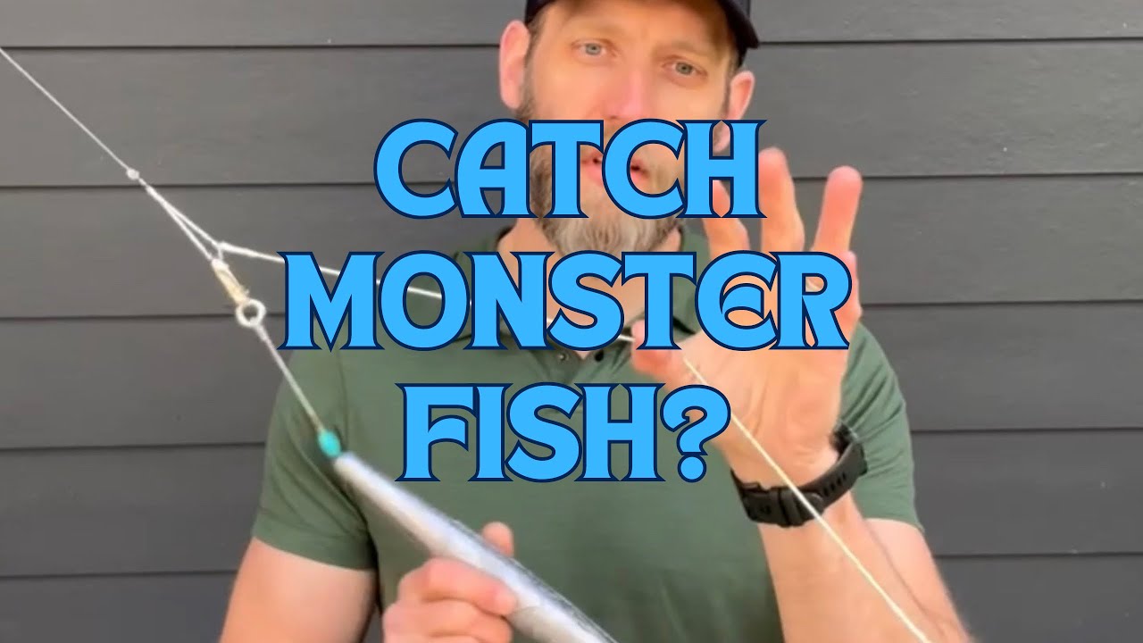 Catch MONSTER FISH Trolling or Bottom Fishing with a Fishing Bridle ...