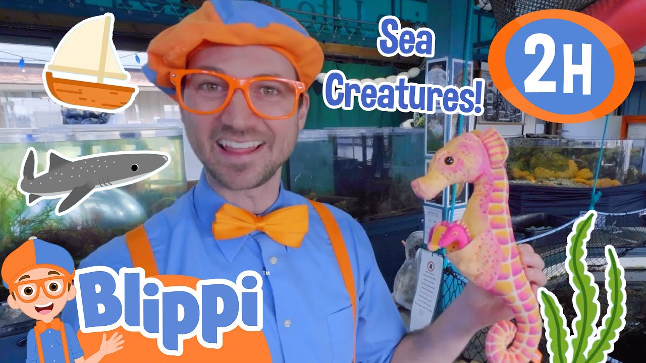 Blippi and the Sea Creature Discovery! | Animals for Kids | Funny ...