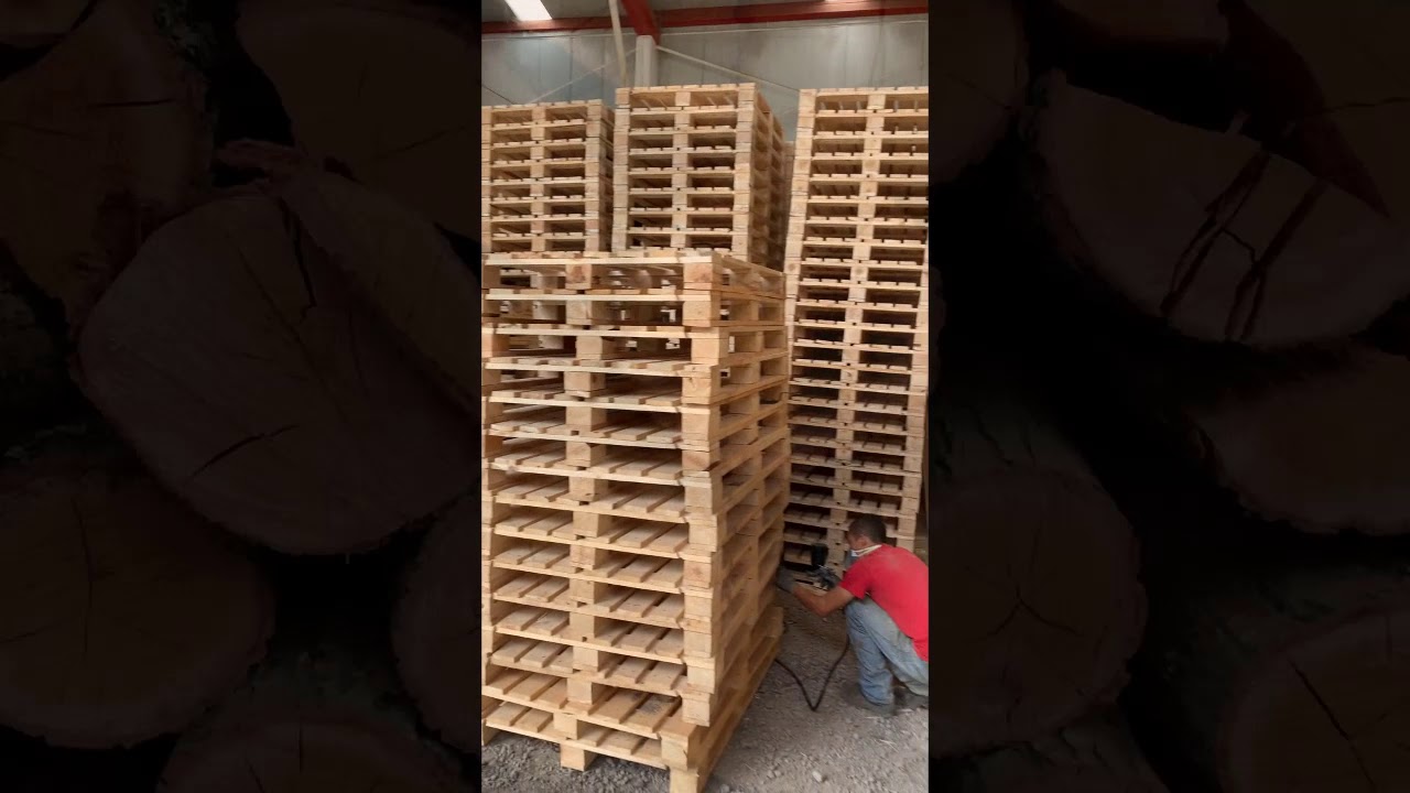 Marcación de Estibas / Pallets - Sello Verde - YouTube
