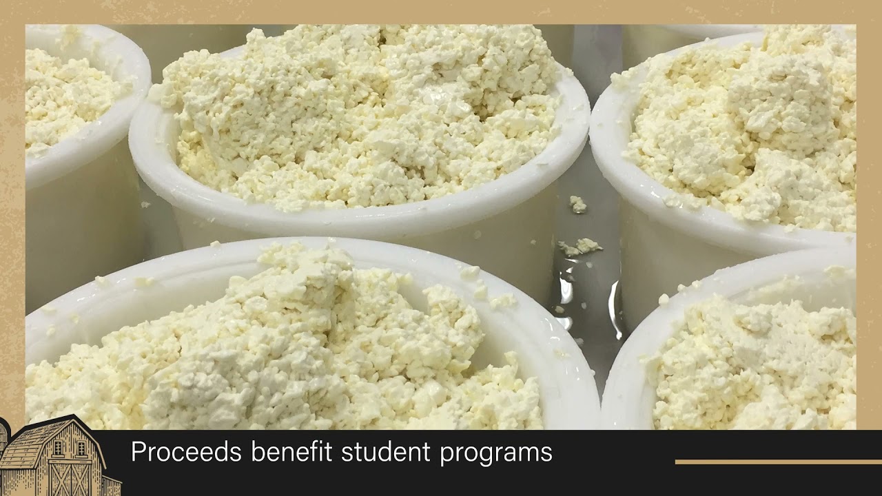 Purdue Ag Alumni Swiss Cheese! - YouTube