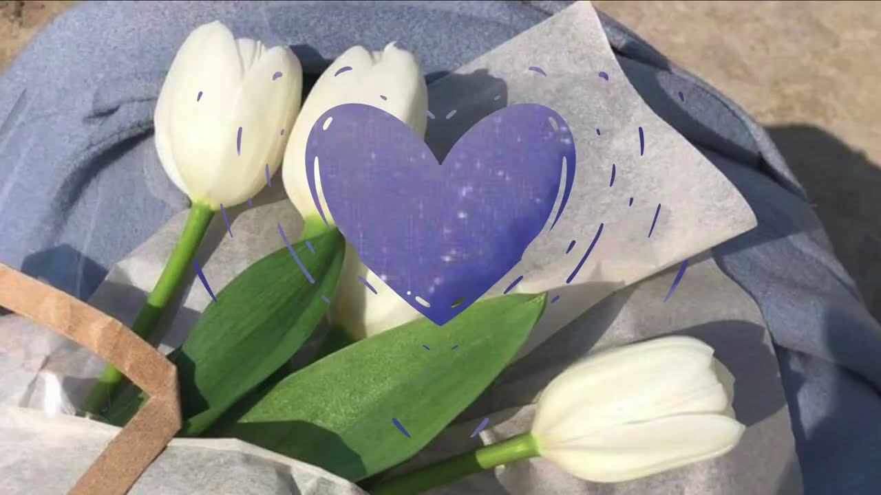 Mon Halsey - Love, Light & Power မေတ္တာ အလင်းနဲ့ စွမ်းအား (Part 1 ...