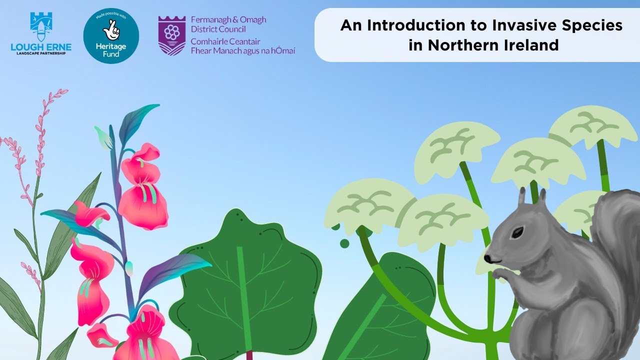 An Introduction to Invasive Species in Northern Ireland - Webinar - YouTube