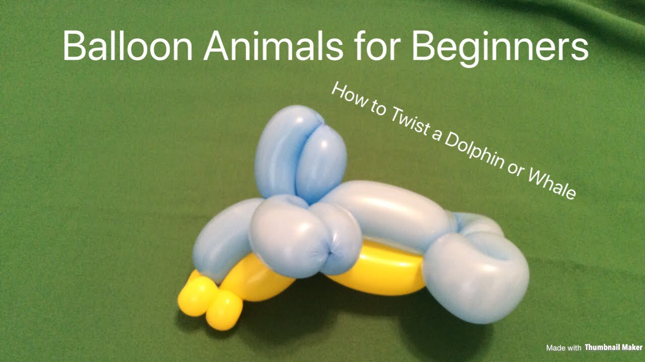 Balloon animals for beginners tutorial how to twist a dolphin or whale ...