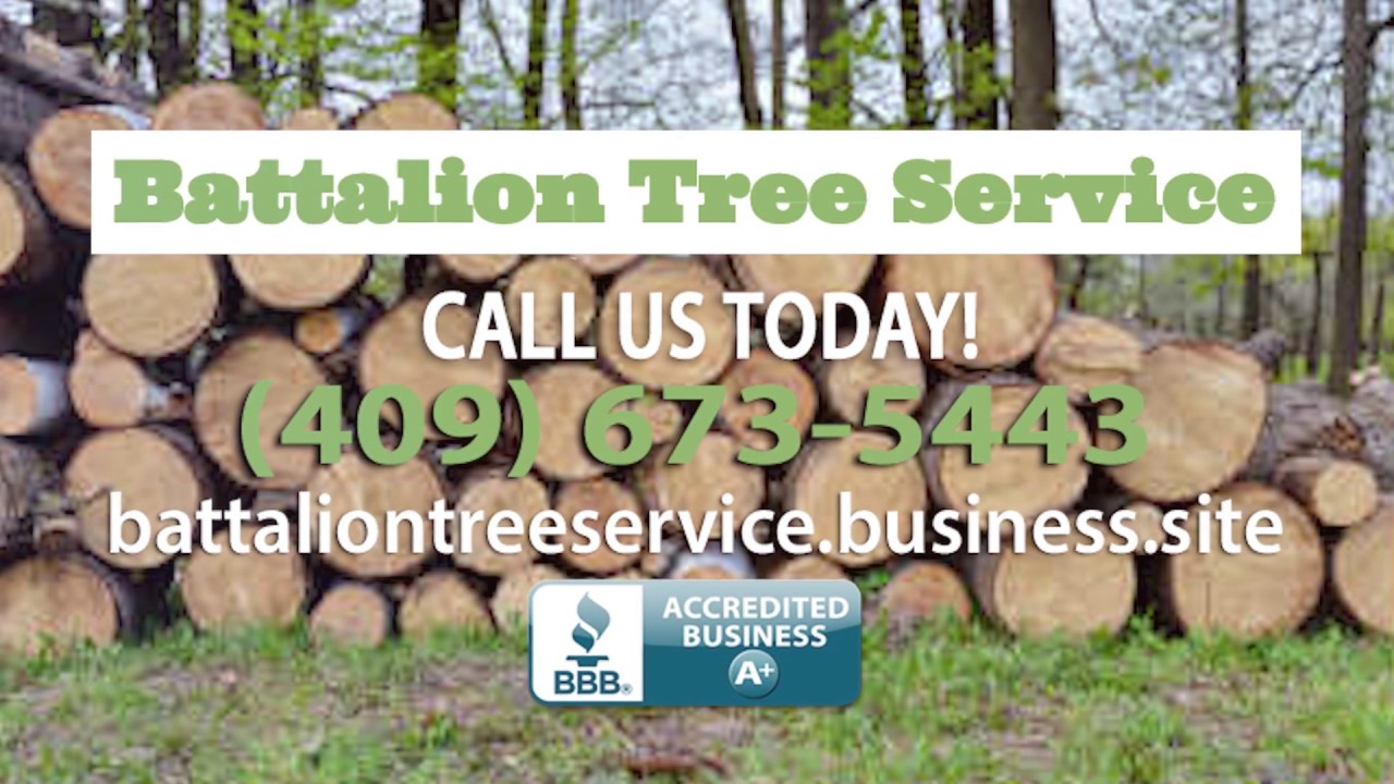 Batallion Tree Services - YouTube