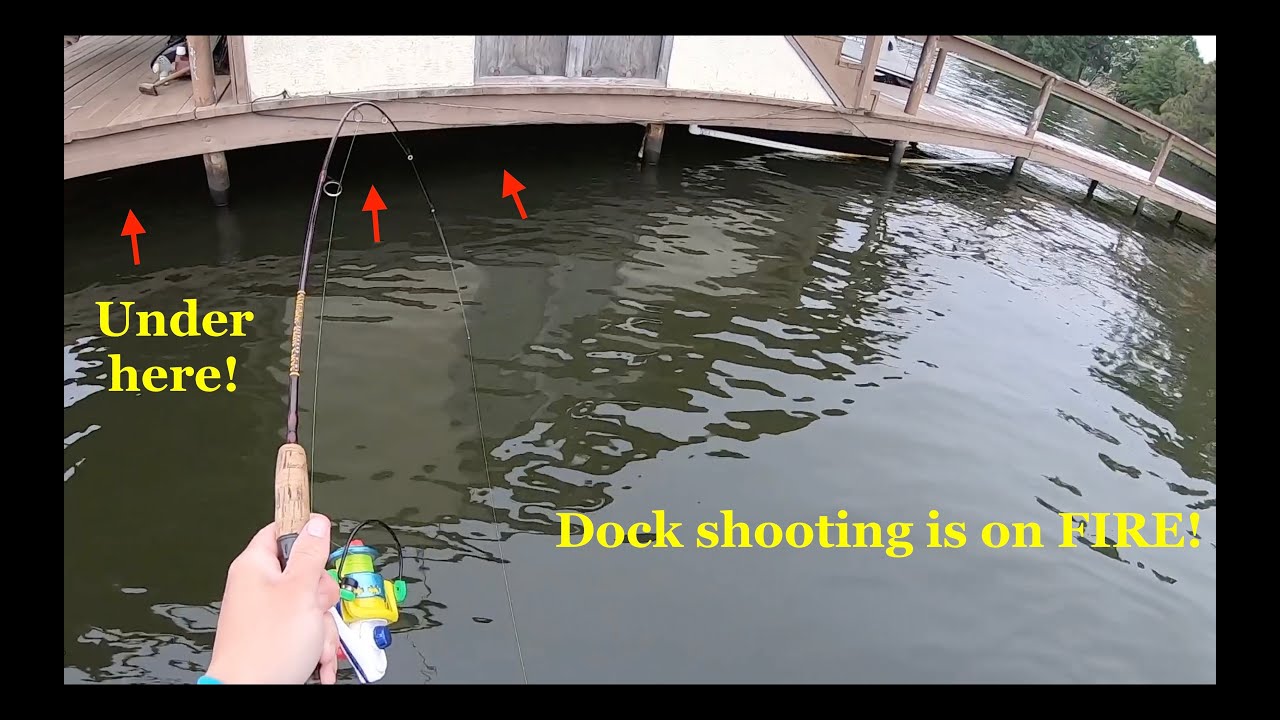 Dock shooting for crappie is on FIRE right now! Easy limits if your ...