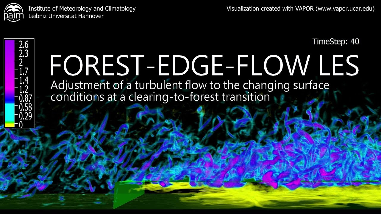 Large-Eddy Simulation of a Forest-Edge Flow - YouTube