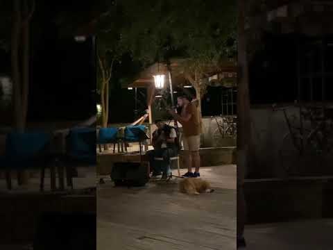 Aldırma gönül ağvadan