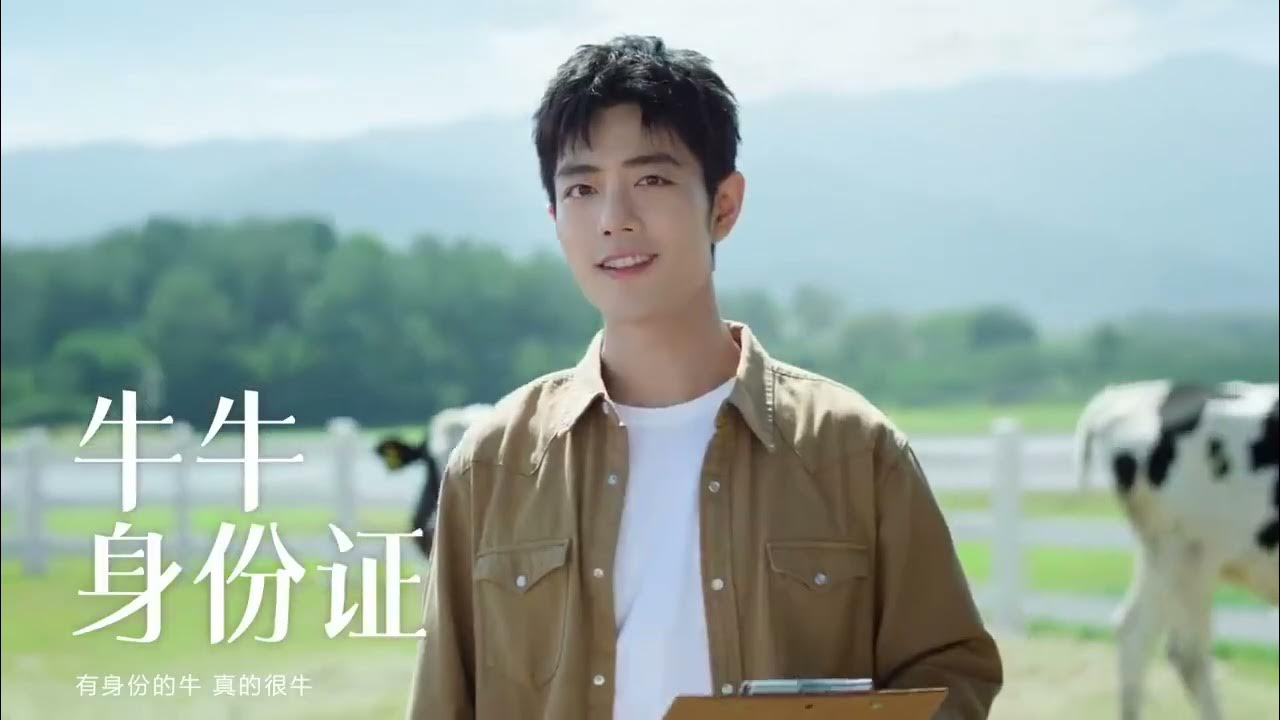 XiaoZhan x Mengniu Selected Ranch | Catsneed - YouTube