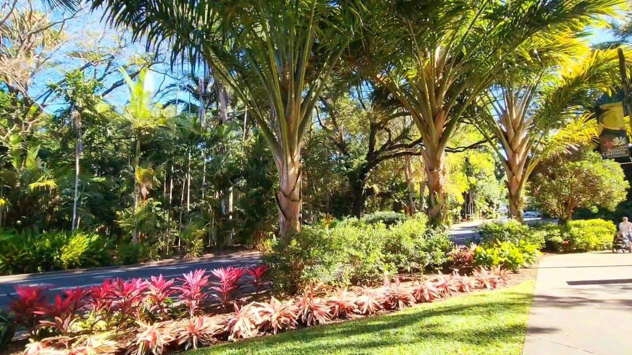 Rusty's Markets + Cairns Botanic Gardens - YouTube