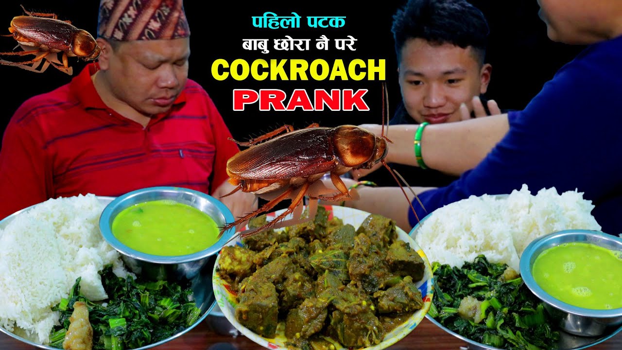 COCKROACH PRANK 🤣 WITH FATHER & SON @tham_thapa - YouTube